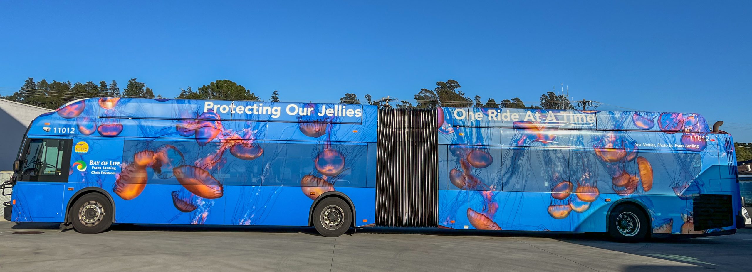 METRO Serves Rising Demand at UCSC with Additional Buses | Passenger ...